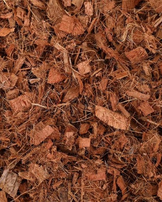 Acheter Chips de coco en ligne - IndoorPoppies